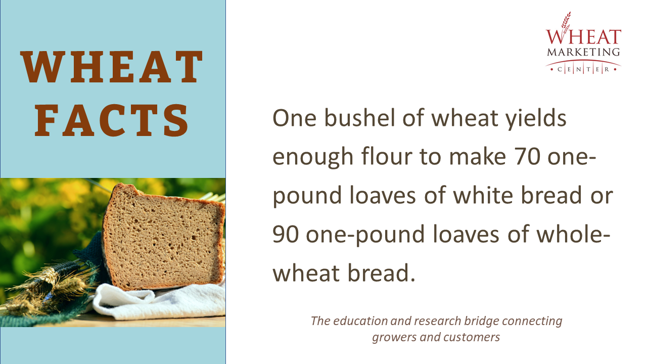 Did You Know . . . - Wheat Marketing Center